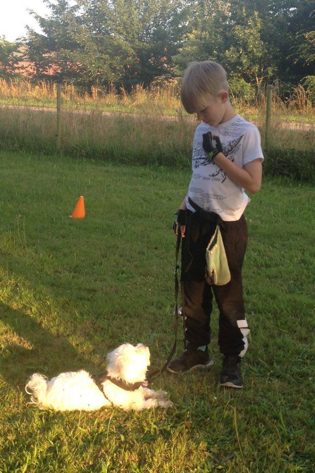 Verdens vigtigste øvelse – gratis vejledning – CentroCane.dk